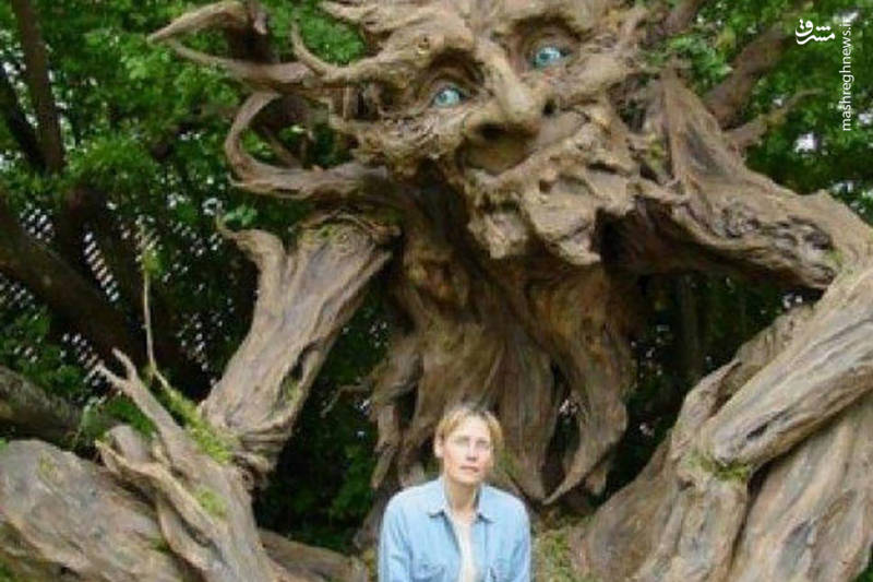 مشرق نیوز - عکس/ پرورش غول درختی در بلژیک!